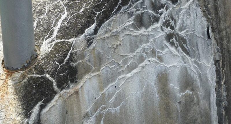 What is Concrete Leaching? | Reozone